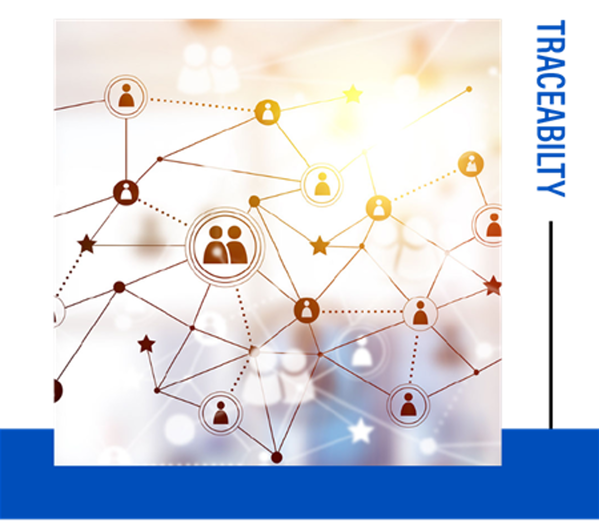 2022 Fall Newsletter