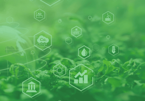 Texbase Downloads: Resources and Guides