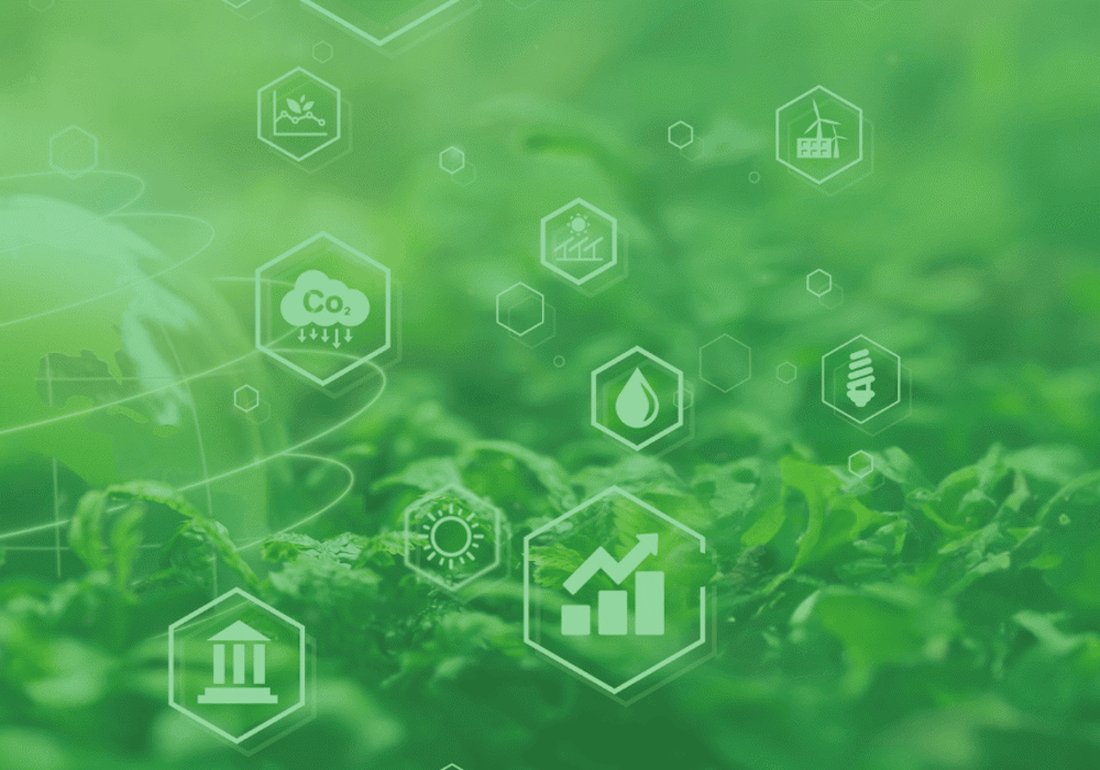 Texbase Downloads: Resources and Guides