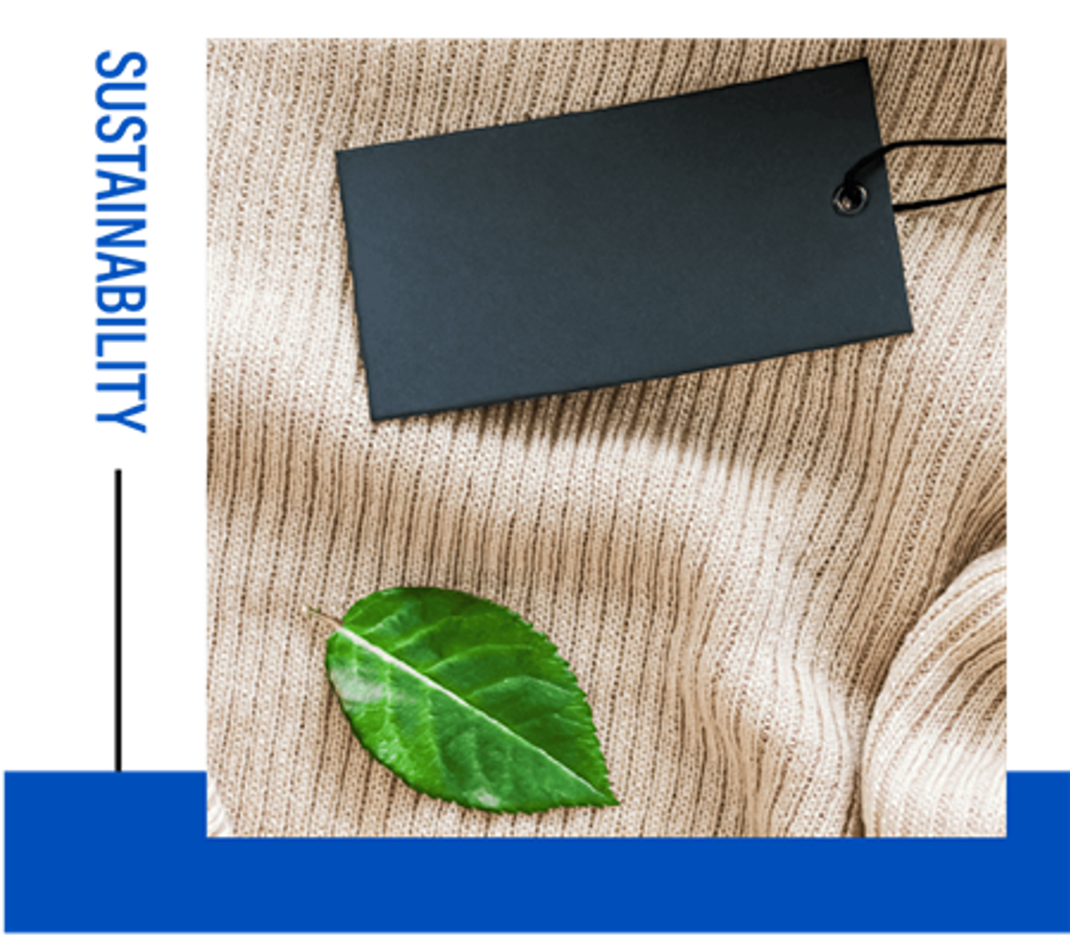 2022 Fall Newsletter